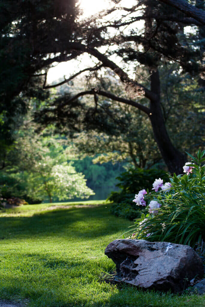 Munsinger and Clemens Gardens: Minnesota Green Partners - Minnesota ...
