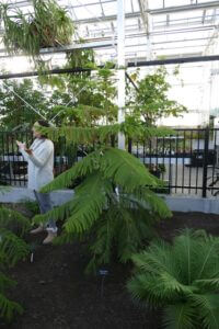 New U of M Conservatory a Horticultural Hot Spot - Northern Gardener
