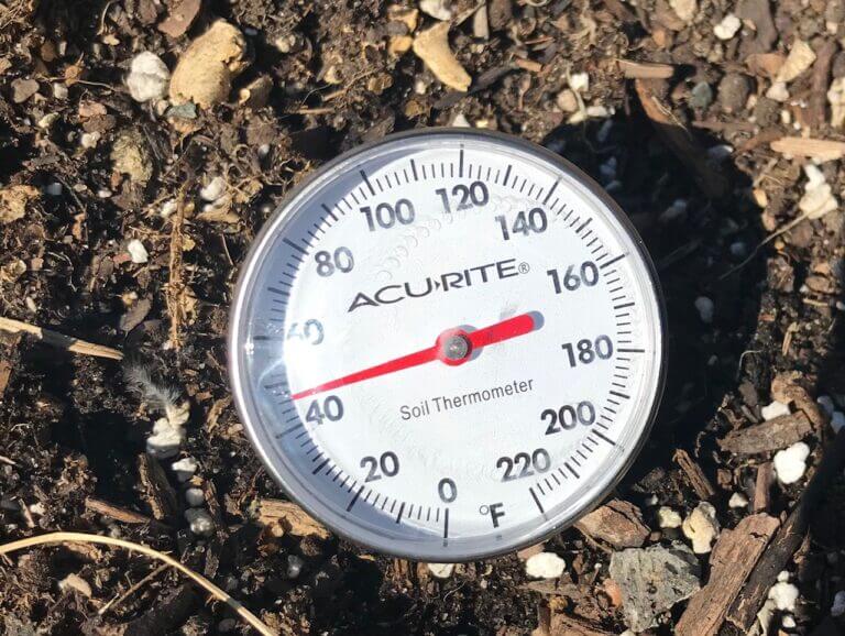 Using Soil Temperature to Decide When to Plant - Northern Gardener