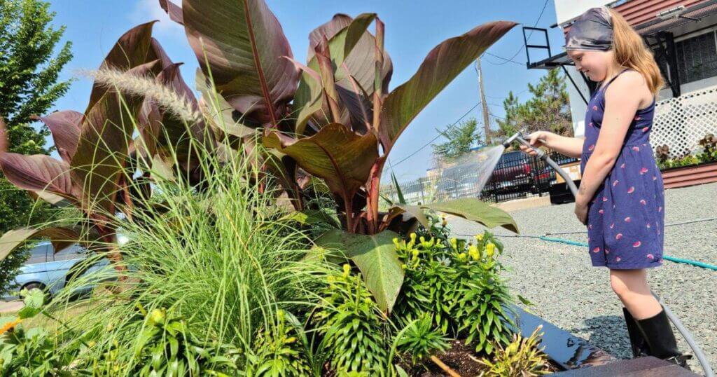 The Growing Power of Placemaking - Northern Gardener