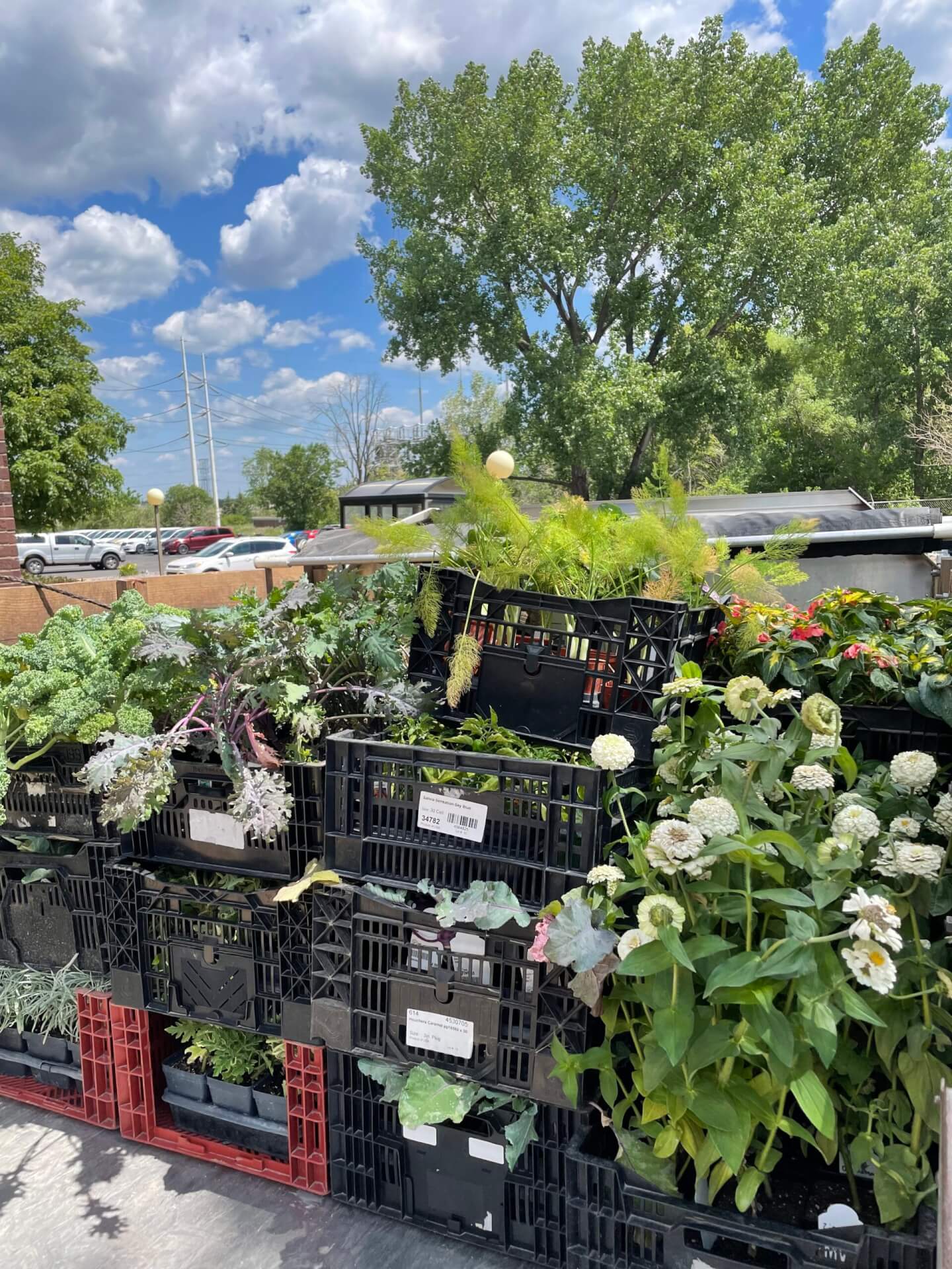 Minnesota Green Photo Gallery - Northern Gardener