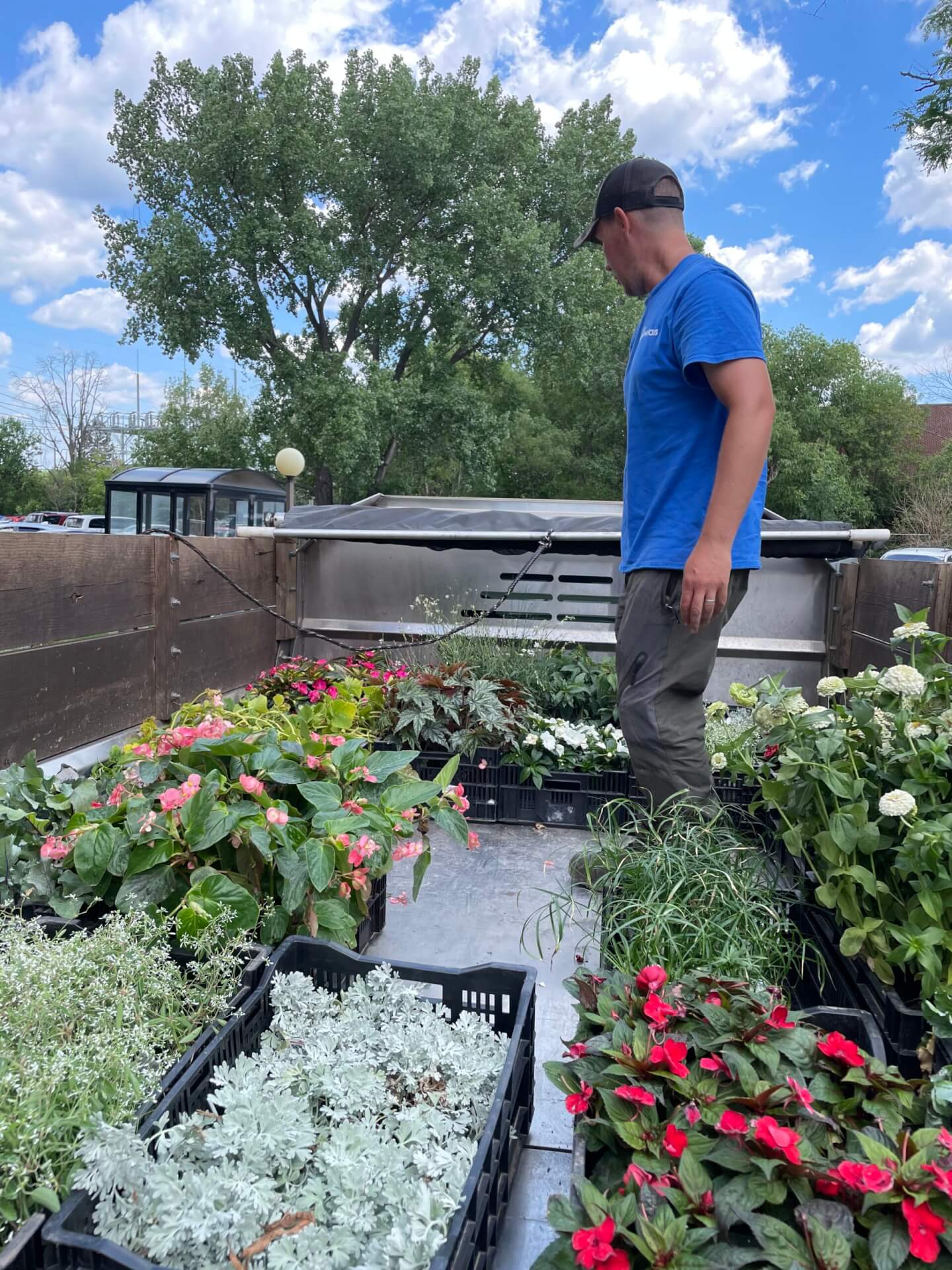 Minnesota Green Photo Gallery - Northern Gardener