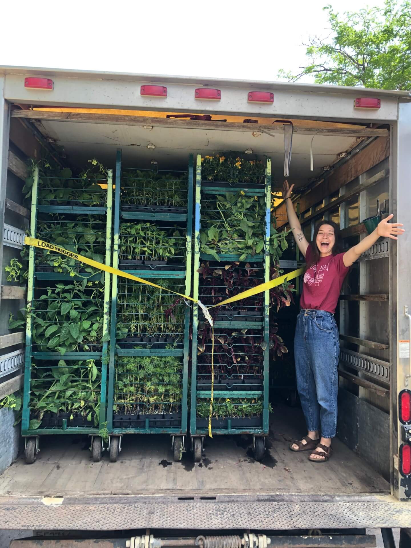 Minnesota Green Photo Gallery - Northern Gardener