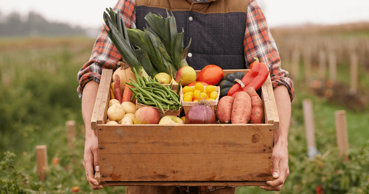 Handling, Harvesting and Storing Veggies - Northern Gardener