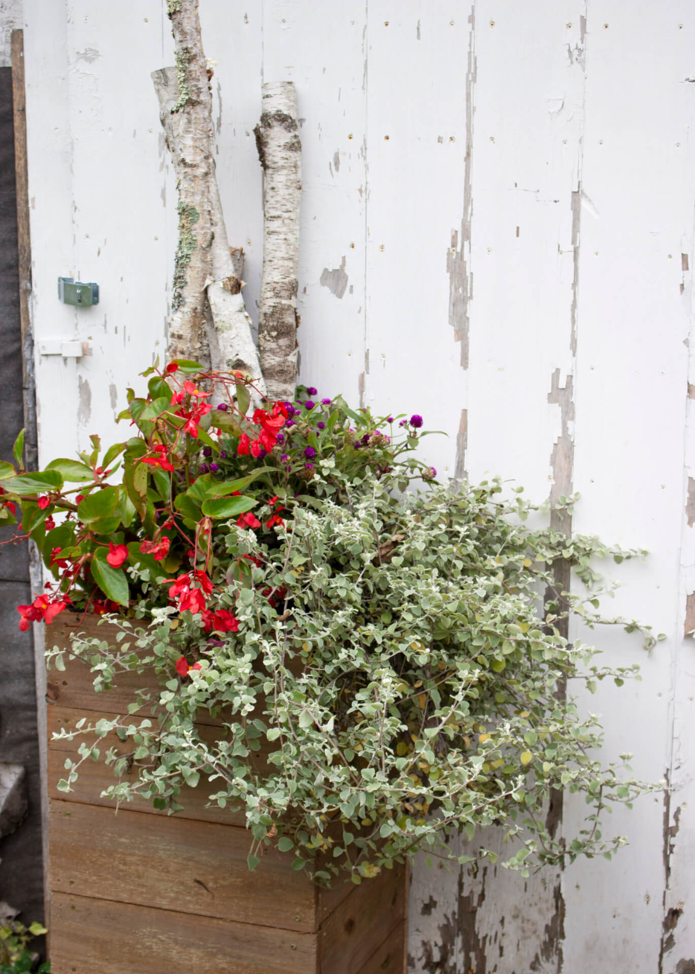 DIY Pot Compendium - Northern Gardener