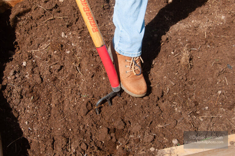 5 Reasons You Need a Pitchfork in the Garden - Northern Gardener